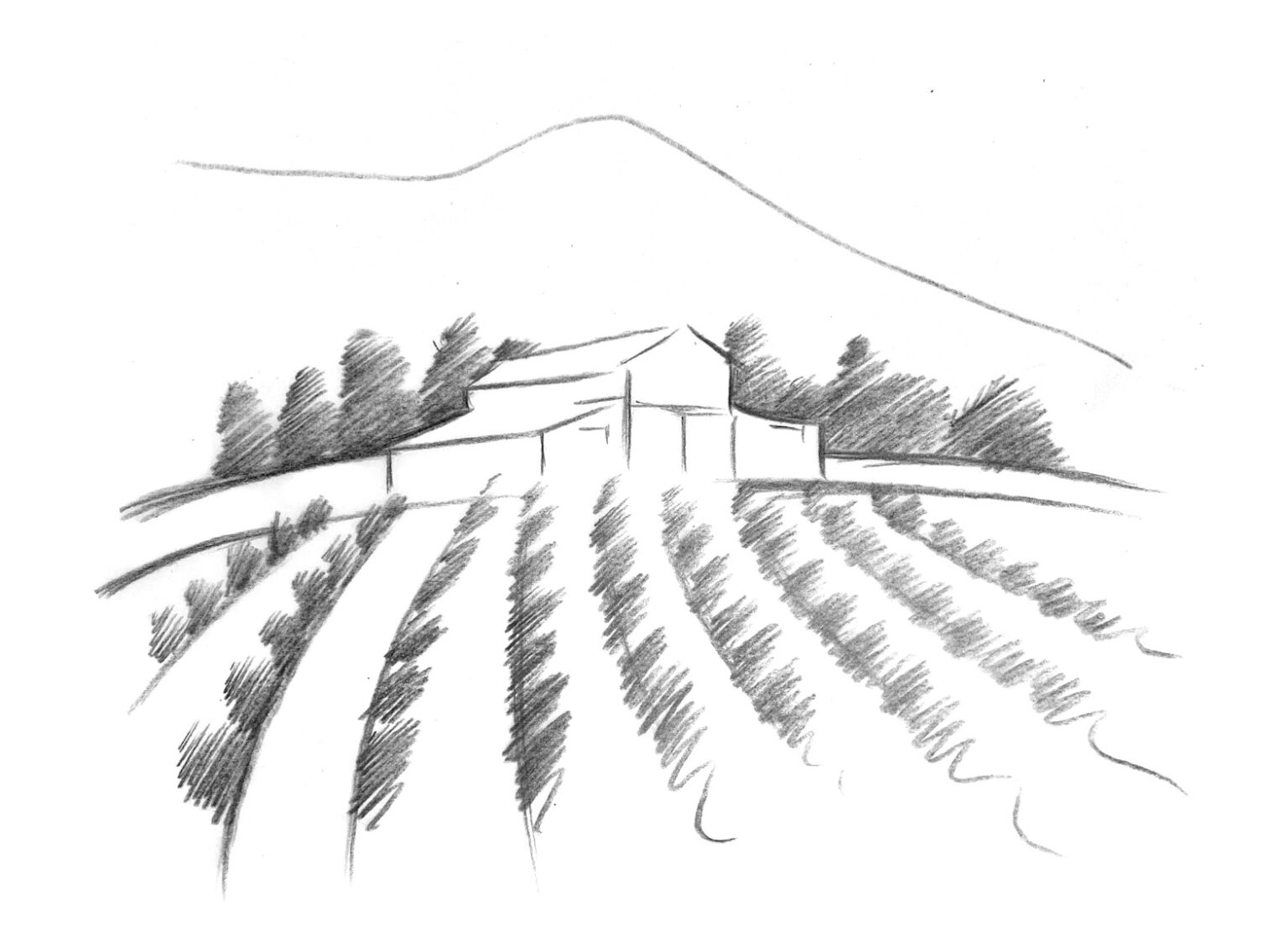 Paramoor